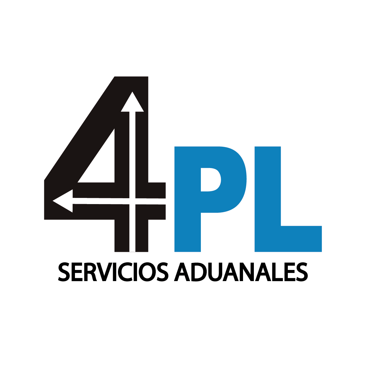 SERVICIOS ADUANALES - AGENCIA ADUANAL CDMX 2025